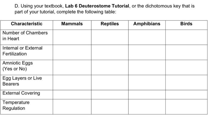 Solved D. Using your textbook, Lab 6 Deuterostome Tutorial, | Chegg.com
