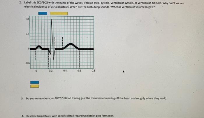 Solved 2. Label this EKG/ECG with the name of the waves, if | Chegg.com