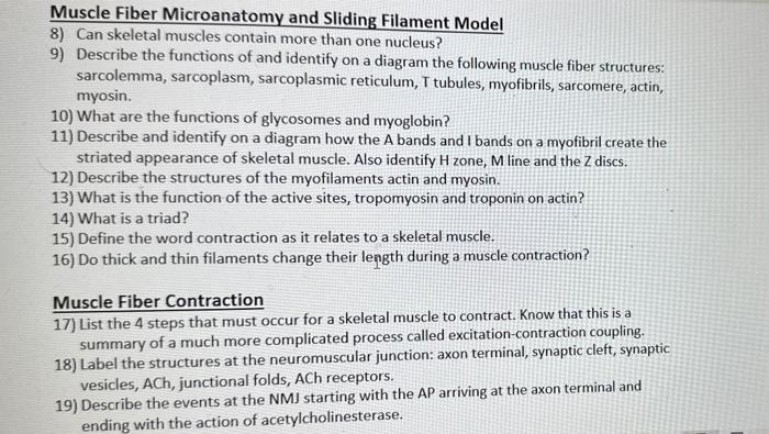 Solved Muscle Fiber Microanatomy and sliding Filament Model | Chegg.com