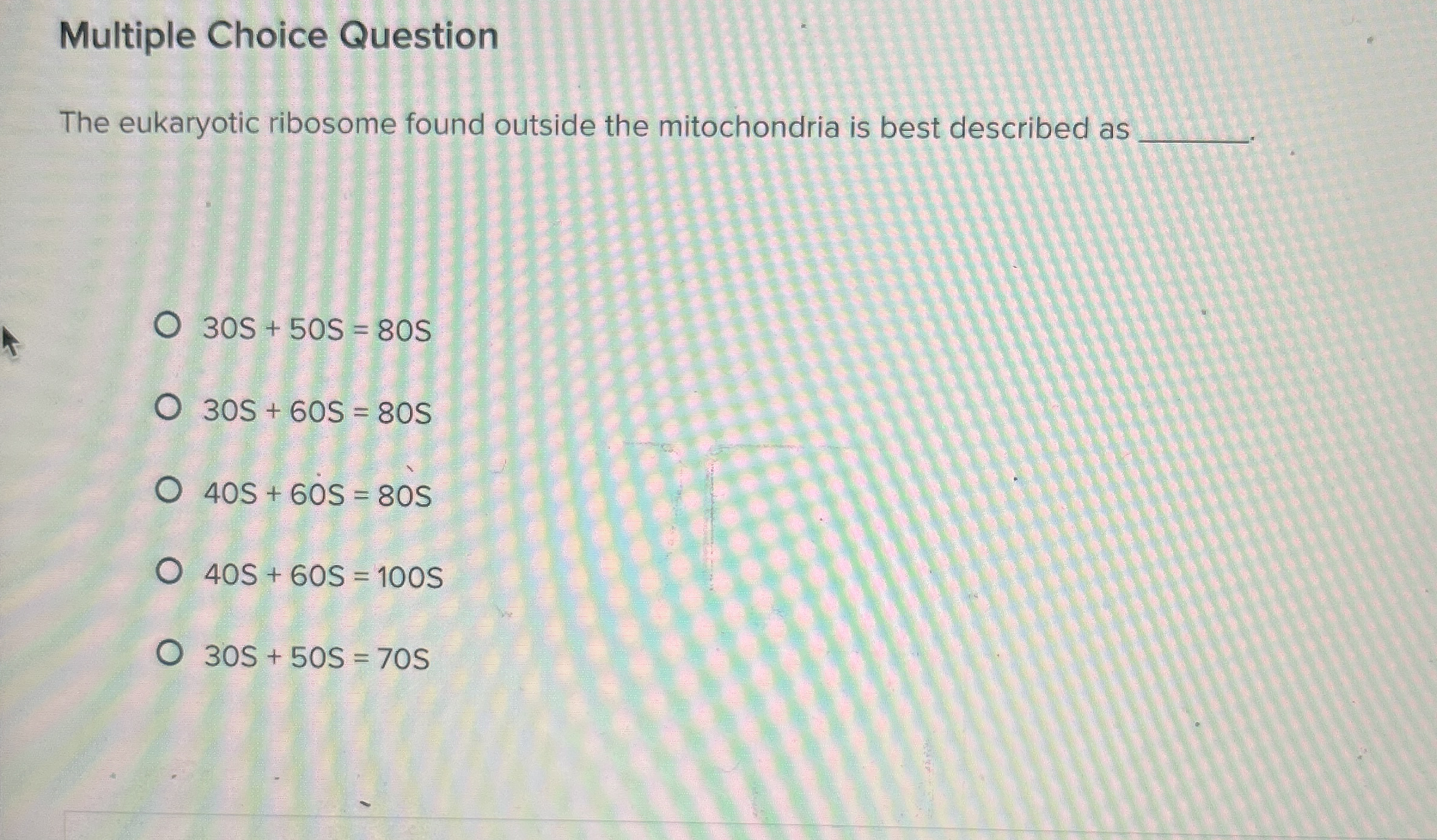 Solved Multiple Choice QuestionThe eukaryotic ribosome found | Chegg.com
