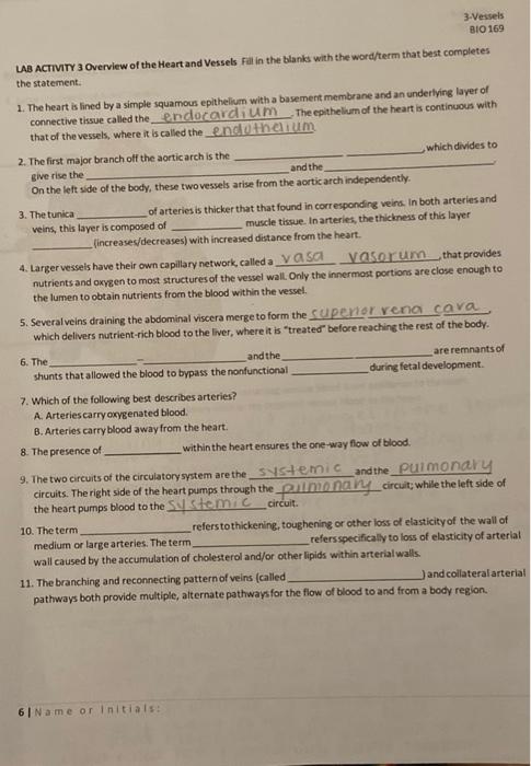 Solved Heart and Vessels PRE-LAB ACTIVITY 1 Label the | Chegg.com