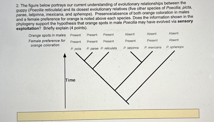 Solved 2. The figure below portrays our current | Chegg.com
