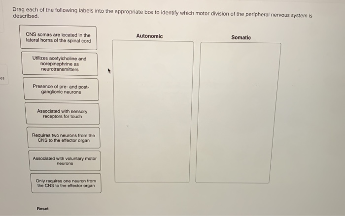 Solved Drag each of the following labels into the | Chegg.com