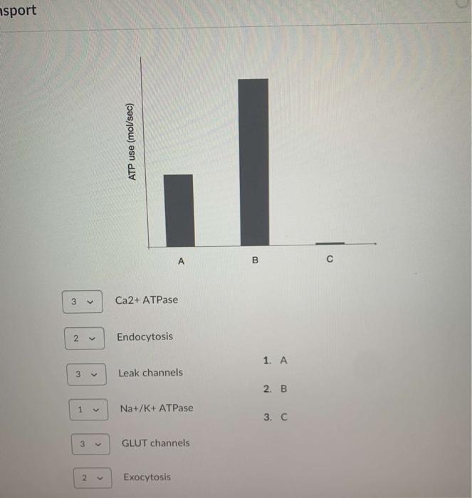 does anyone know the answer to this? | Chegg.com