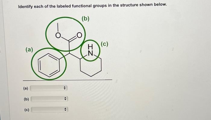 Solved Identify each of the labeled functional groups in the | Chegg.com