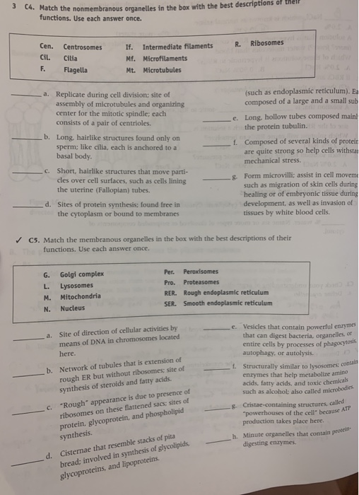 Solved * Match the nonnenbranous organelles in the box with | Chegg.com