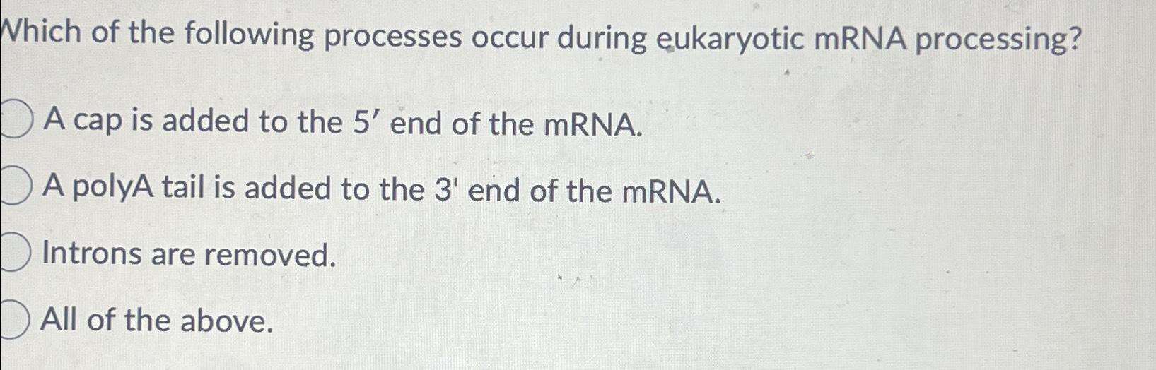 Solved Which of the following processes occur during | Chegg.com