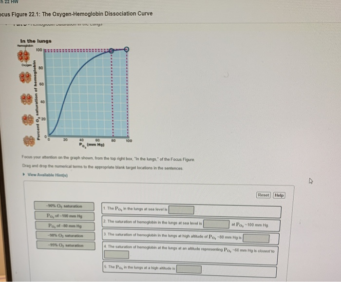 Solved -h 22 HW ocus Figure 22.1: The Oxygen-Hemoglobin | Chegg.com