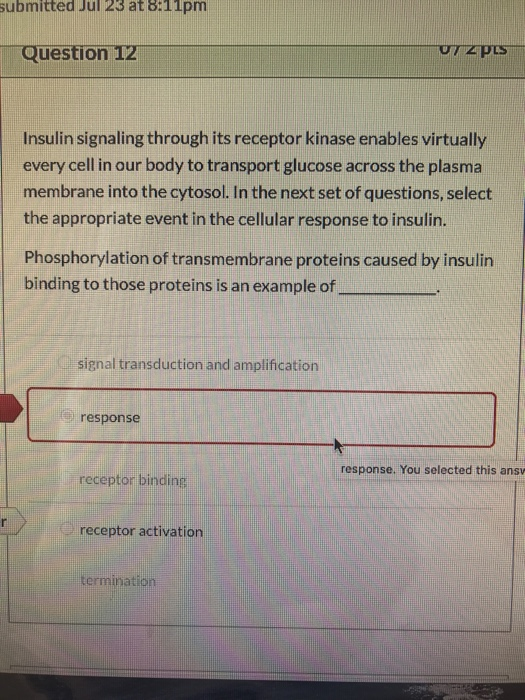 Solved submitted Jul 23 at 8:11pm Question 12 UT PLS Insulin | Chegg.com