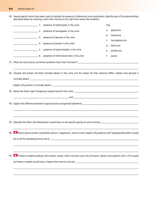 Solved REVIEW SHEET Instructors may assign a portion of the | Chegg.com
