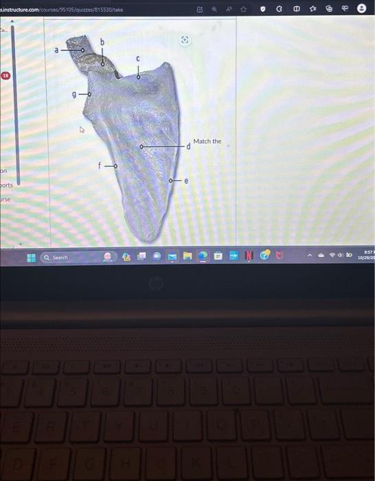 Solved following labels to the correct names. | Chegg.com