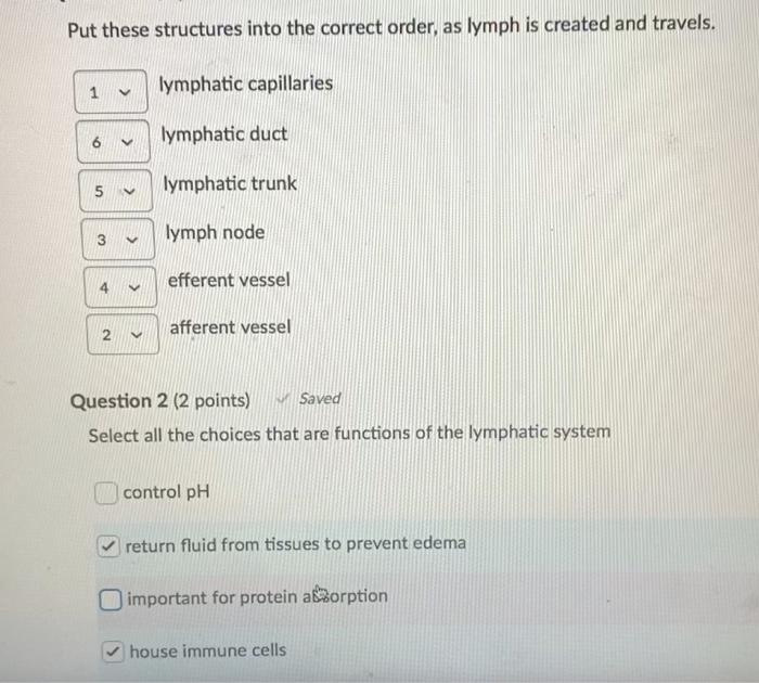 Solved Put these structures into the correct order, as lymph | Chegg.com