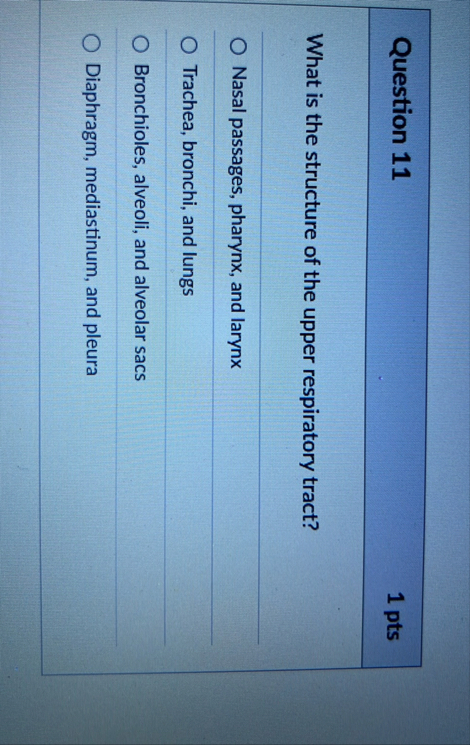 Solved Question 111 ﻿ptsWhat is the structure of the upper | Chegg.com