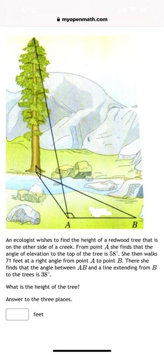 Solved An ecologist wishes to find the height of a redwood | Chegg.com