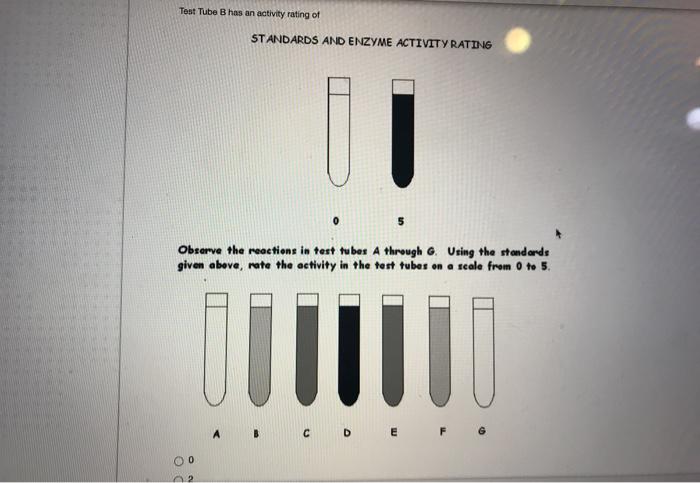 Solved Test Tube A has an activity rating of STANDARDS AND | Chegg.com