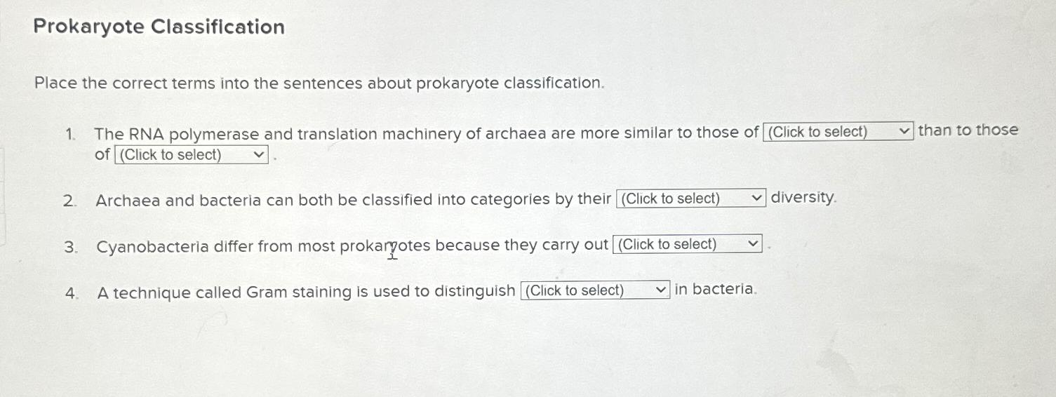 Prokaryote ClassificationPlace the correct terms into | Chegg.com