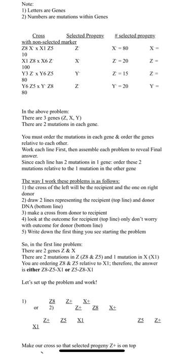 2)Below is a three factor cross for genes A, B, C | Chegg.com