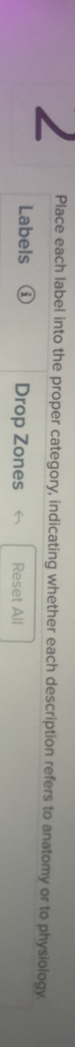 Solved Place each label into the proper category, indicating | Chegg.com