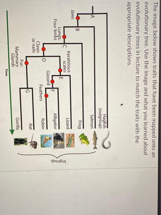 Solved The image below shows traits that have been mapped | Chegg.com