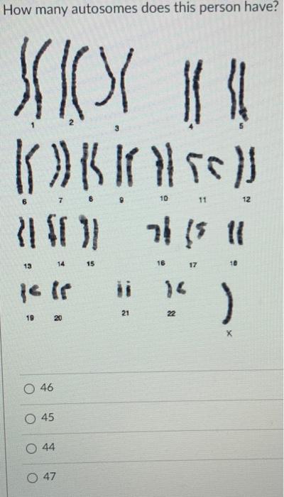 Solved How many autosomes does this person have? | К) K If | Chegg.com