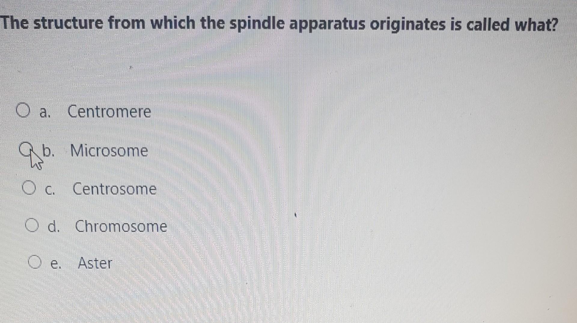 Solved The structure from which the spindle apparatus | Chegg.com