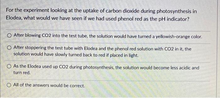 Solved For the experiment looking at the uptake of carbon | Chegg.com