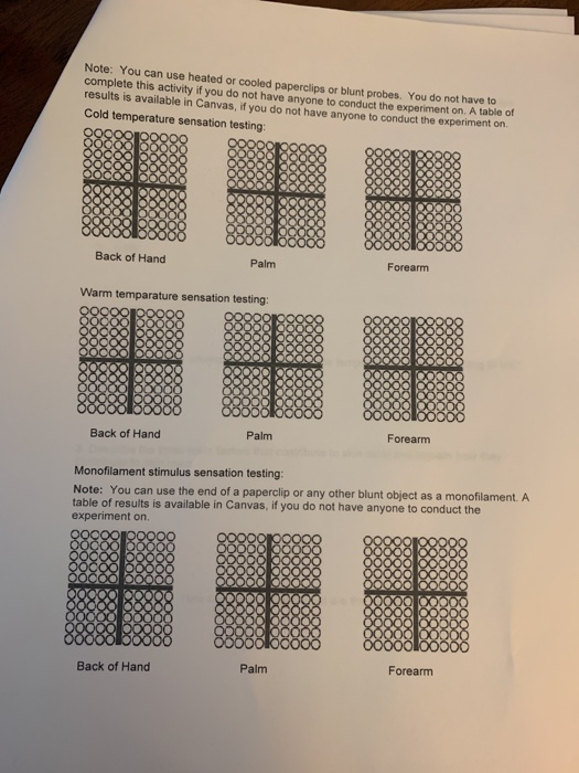 Solved Two Point Discrimination Test Record the minimum | Chegg.com