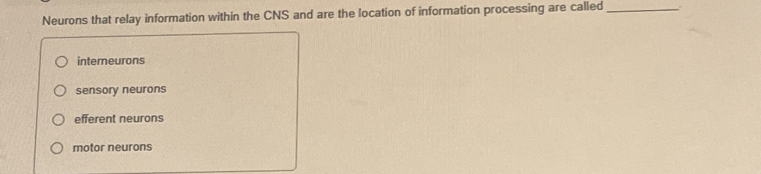 Solved Neurons that relay information within the CNS and are | Chegg.com