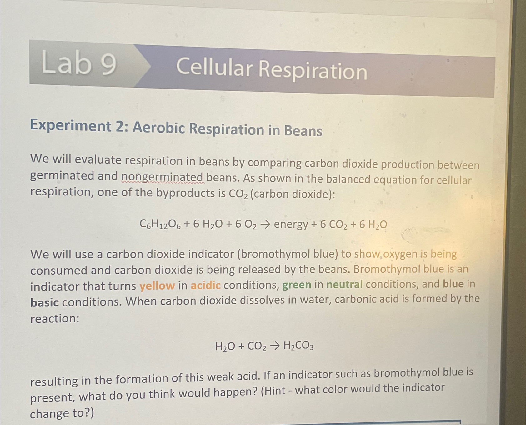 Solved LabCellular RespirationExperiment 2: Aerobic | Chegg.com