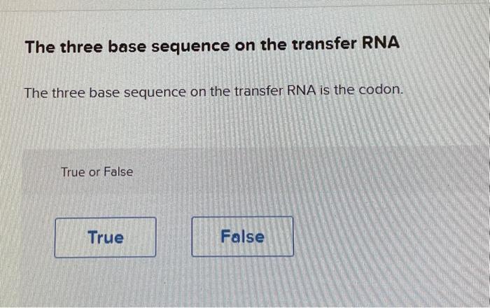Solved The three base sequence on the transfer RNA is the | Chegg.com