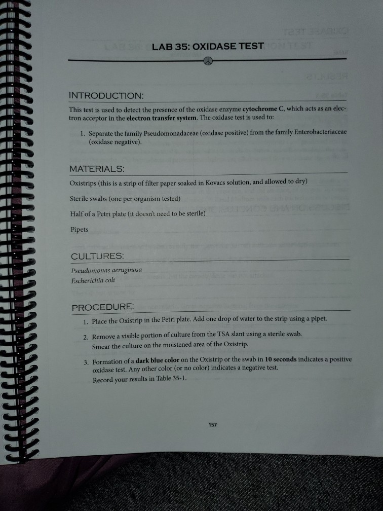 Solved LAB 35: OXIDASE TEST INTRODUCTION: This test is used | Chegg.com