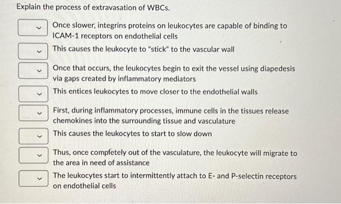 Solved Explain the process of extravasation of WBCs. Once | Chegg.com