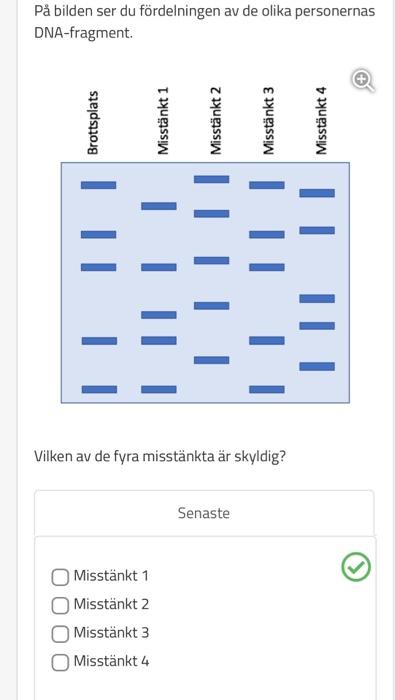 Solved På bilden ser du fördelningen av de olika personernas | Chegg.com