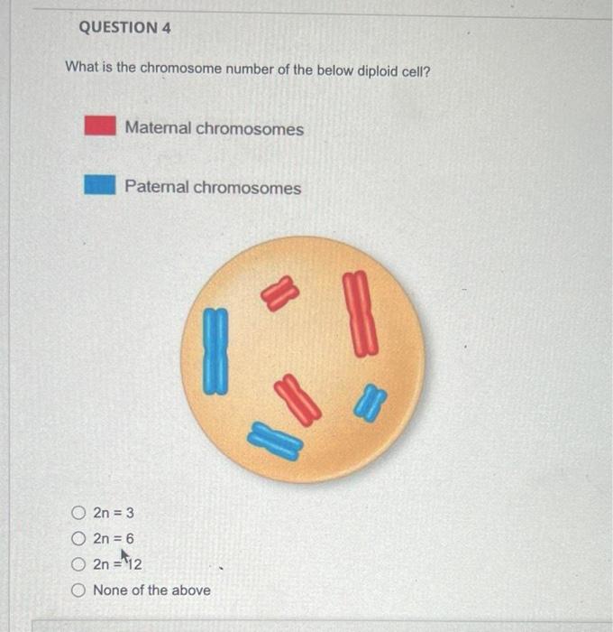 Solved Based on the below human karyotype, is this | Chegg.com