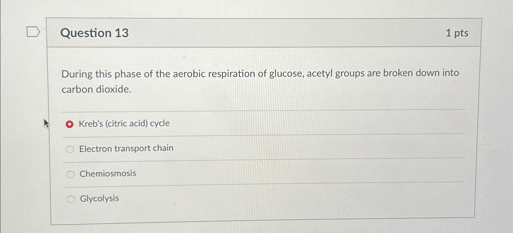 Solved Question 131 ﻿ptsDuring this phase of the aerobic | Chegg.com