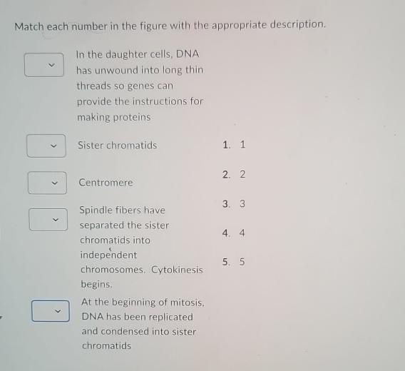 Solved Match each number in the figure with the appropriate | Chegg.com