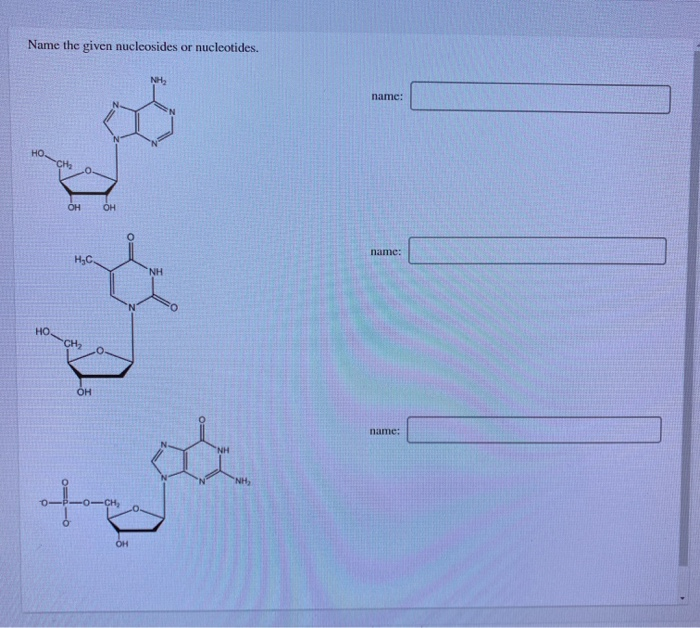 Solved Name the given nucleosides or nucleotides. name: | Chegg.com