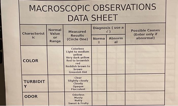 Solved MACROSCOPIC OBSERVATIONS DATA SHEET Diagnosis ( use a | Chegg.com