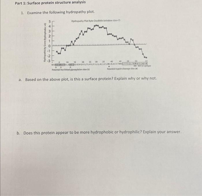 Solved Part 1: Surface protein structure analysis 1. Examine | Chegg.com