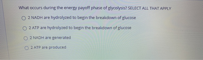 Solved What occurs during the energy payoff phase of | Chegg.com