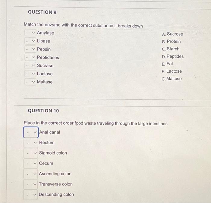 Solved Match the enzyme with the correct substance it breaks | Chegg.com
