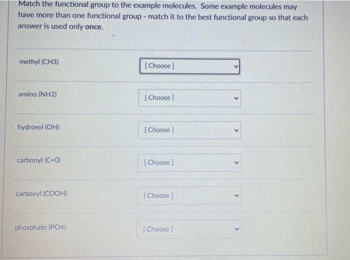 Solved Match the fuction groups to the example molecules. | Chegg.com