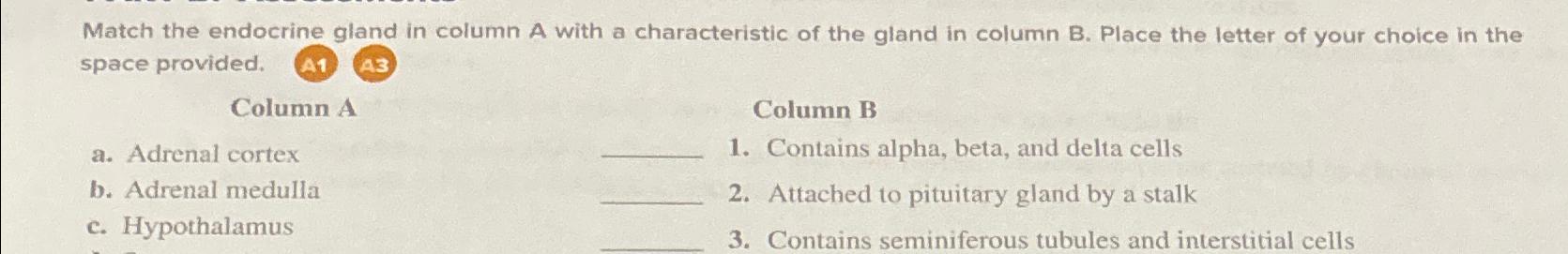 Solved Match the endocrine gland in column A with a | Chegg.com