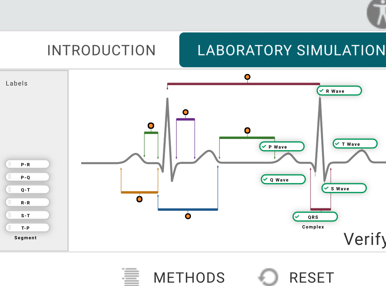 Solved INTRODUCTIONLabelsSegment Verify | Chegg.com