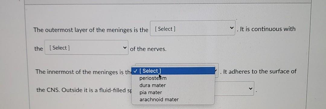Solved It is continuous with The outermost layer of the | Chegg.com