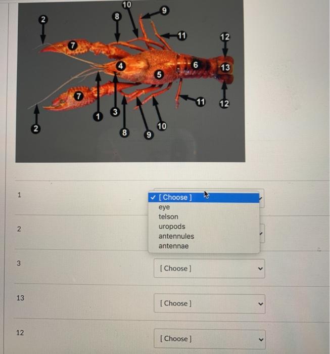 Solved 1 3 2 4 1 [Choose ] 2 [Choose 3 [Choose ] 4 [Choose | Chegg.com
