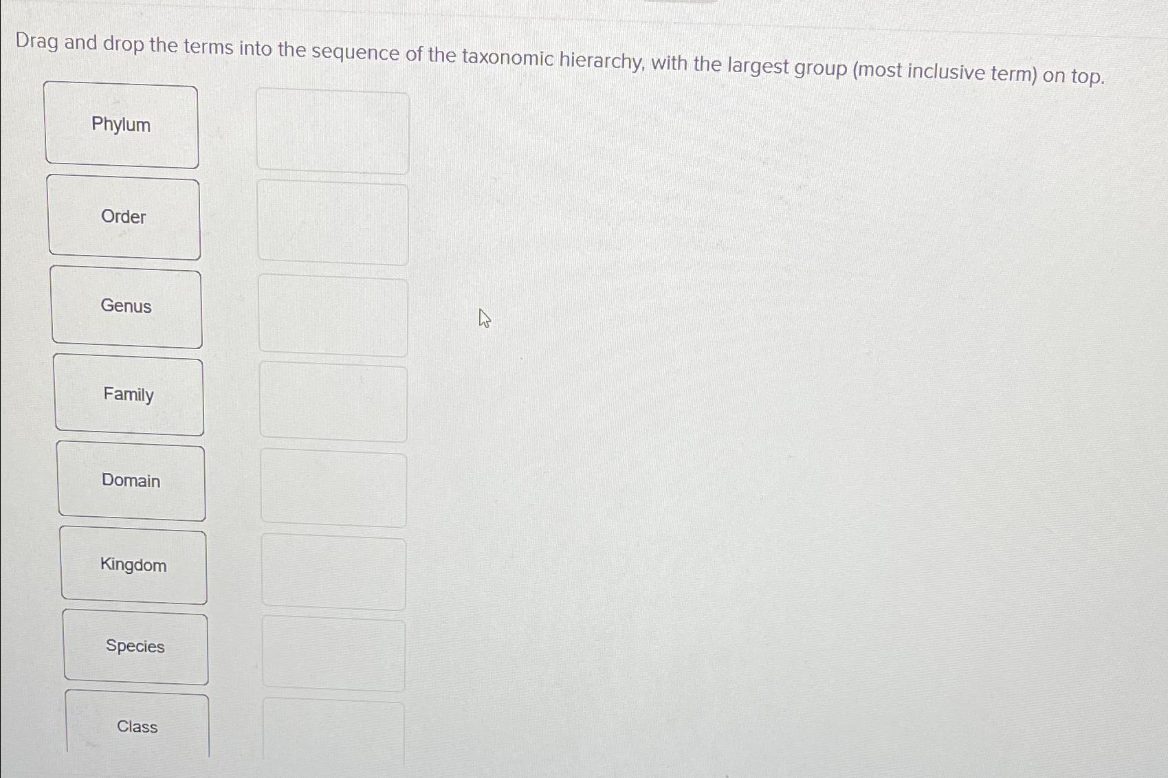Solved Drag and drop the terms into the sequence of the | Chegg.com