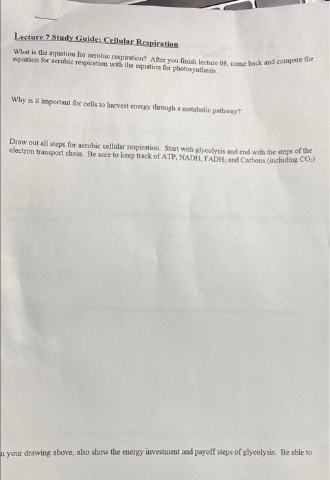 Solved Lecture 7 Study Guide: Cellular Respiration What is | Chegg.com