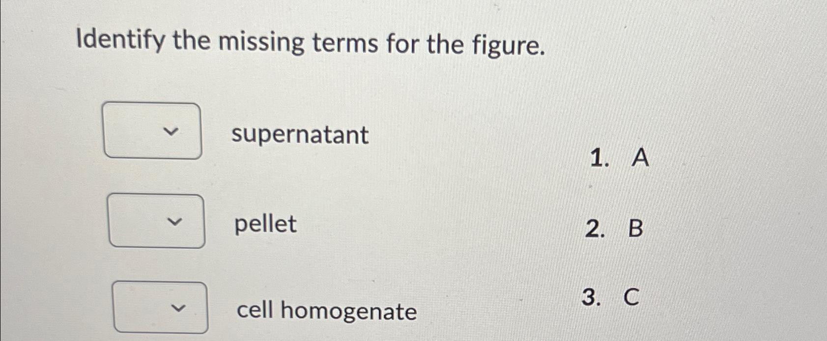 Solved Identify the missing terms for the | Chegg.com