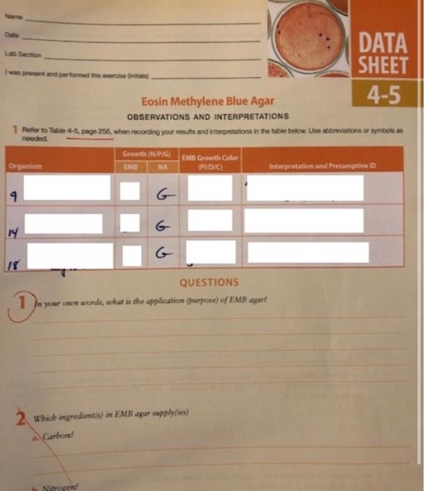 Solved Name Date Lab Section I was present and performed | Chegg.com